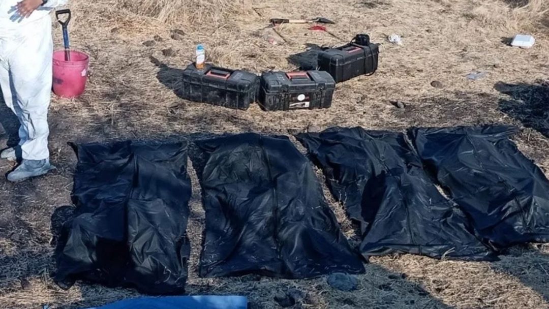 Van 26 cuerpos encontrados en fosa clandestina en Juventino Rosas - TVi - Información ...